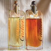 Déclaration Parfum Cartier cologne - a fragrance for men 2018