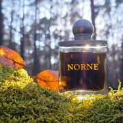 Norne Slumberhouse perfume - a fragrance for women and men 2012