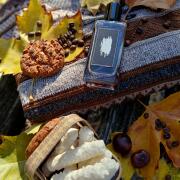 Insomnia Faviol Seferi perfume - a fragrance for women and men 2017