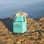 Telea Tiziana Terenzi perfume - a fragrance for women and men 2020