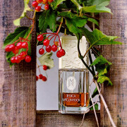 Jessica McClintock Jessica McClintock perfume - a fragrance for women 1988