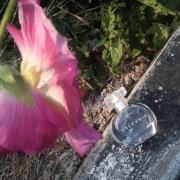 Valkyrie Faberlic perfume - a fragrance for women 2019