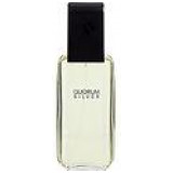 Quorum Silver Antonio Puig cologne - a fragrance for men 2005