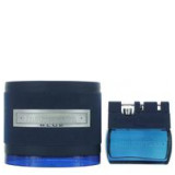 Insurrection Blue Reyane Tradition perfume - a fragrance for women